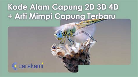 15 Kode Alam Capung 2d 3d 4d Arti Mimpi Capung Terbaru