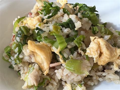 緑の高菜チャーハンこぶ高菜 一社 日本野菜テロワール協会