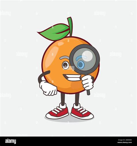 Clementine Orange Fruit Vector Mascot Illustration Stock Vector Image