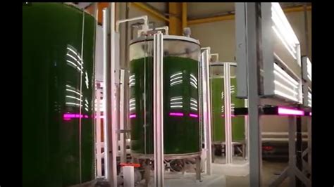 Microalgae Culture Process In Pilot Plant Youtube