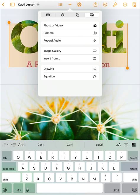 Get Started With Pages On IPad Apple Support