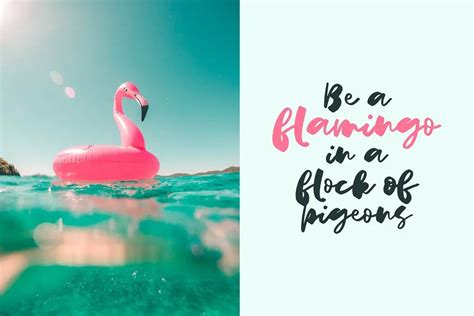 Silver Lake Script Font Upfonts