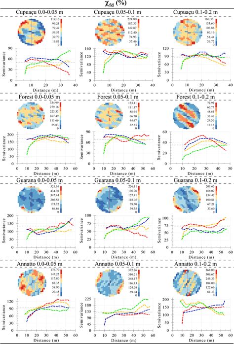 Anisotropic semivariance graphs and directional semivariograms for χ in