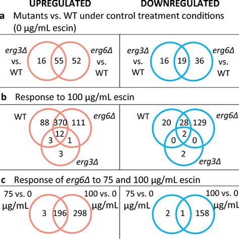 Venn Diagrams For Differentially Expressed Genes Degs Degs