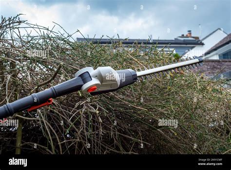 Close Up Of Battery Powered Hedge Clippers With Sharp Blades In Front Of Hedge In Backyard