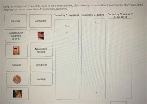 Drag The Images And Type Of Infections To Their
