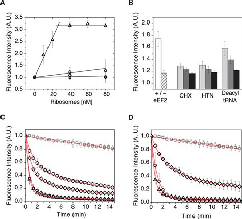 Human Ribosomes Are Translationally Active In Vitro A Download