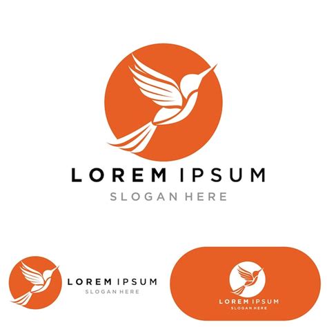 Колибри логотип дизайн вектор шаблон Премиум вектор