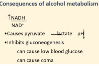 LECTURE Ethanol Metabolism Flashcards Quizlet