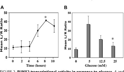 Figure 2 From Hyperglycemia Regulates Runx2 Activation And Cellular