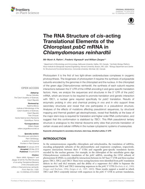 Pdf The Rna Structure Of Cis Acting Translational Elements Of The Chloroplast Psbc Mrna In