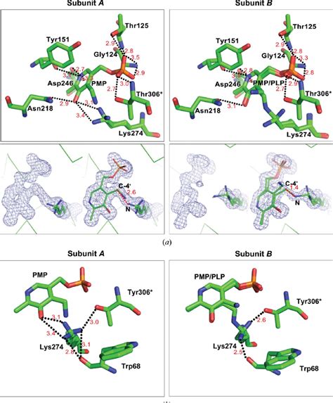 Close Up View Of The Cofactor Binding Sites A Residues Interacting