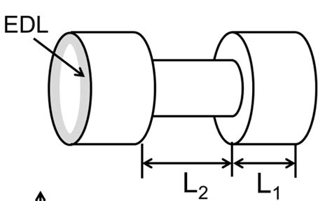 Extended Model To Simulate Membrane Polarization Left Definition Of
