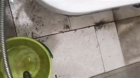 Tej Mithi Muththi In Memory Of Bahbhi Free Gay Porn C5 Xhamster