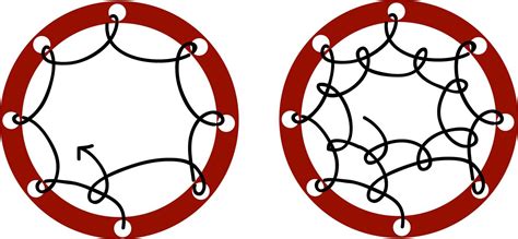 Cayley Graph AleenaAmilia