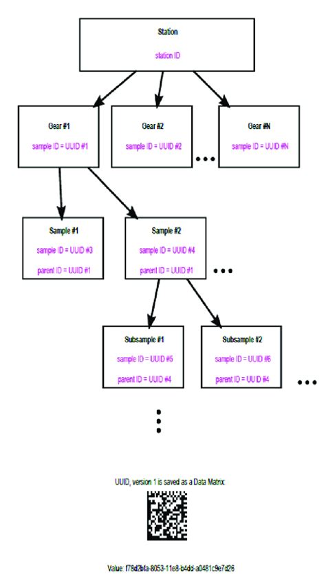 The Hierarchical System With Sample Subsample Ids Used To Trace Samples