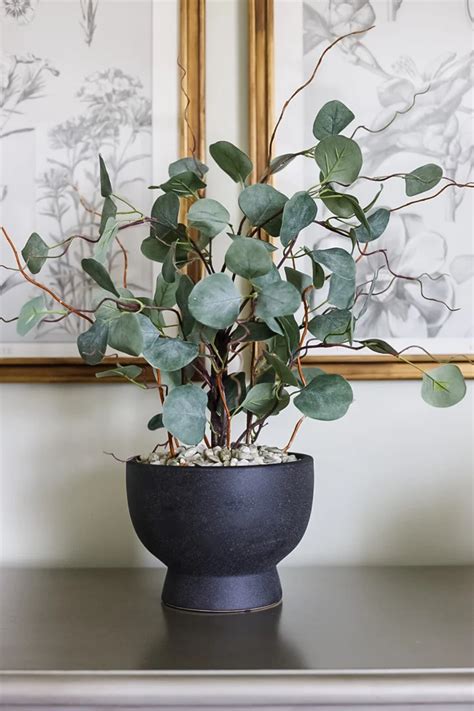 Faux Potted Eucalyptus Plant At Marjorie Summerville Blog