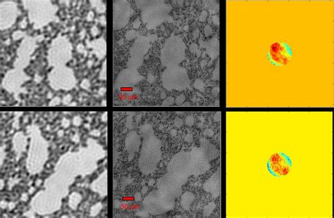 Experimental Results Pupil Reconstruction Validation Top Images Are Download Scientific