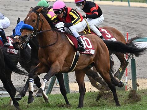 【目黒記念予想】ダービーの後にもうひとつの戦い 持久力問われるハンデ重賞 競馬ニュース Netkeiba
