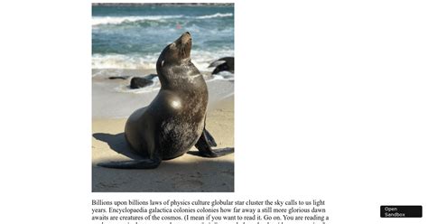 Cocky Proskuriakova Sbzsjq Codesandbox Cocky Proskuriakova Sbzsjq Codesandbox