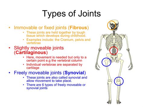 Joints Movement Powerpoint Ppt PPT