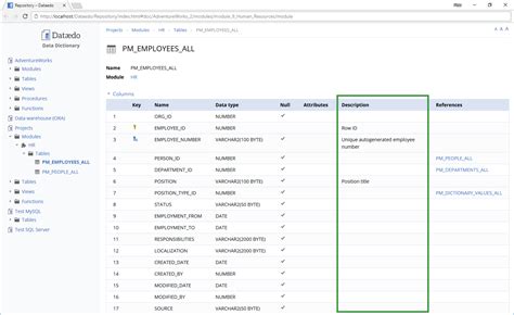 Business Data Dictionary Template Parahyena