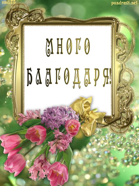 Много Благодаря Благодарим Ви че споделяте този красив и