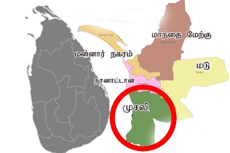 மக்கள் காணிகள் தற்போது வனஜீவராசிகள் மற்றும் வன பரிபாலனத் திணைக்களங்களிடம் இருப்பதாக