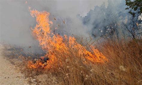 Кривична против маж од беровско запалил сува трева и гранки а пожарот се проширил при што