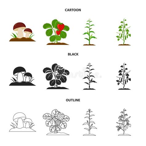 Mushrooms Strawberries Corn Cucumber Plant Set Collection Icons In Cartoon Black Outline