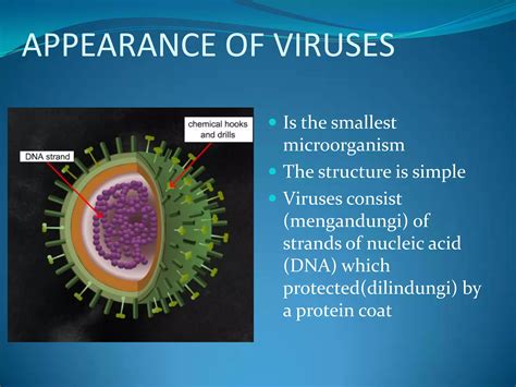 11 Classification Of Microbes Pptx Biological Sciences Science