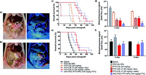 In Vivo Peritoneal Distribution And Efficacy Of Pgcptx Nps As A Single
