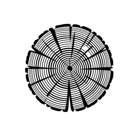 Tree Section Vector Art Icons And Graphics For Free Download