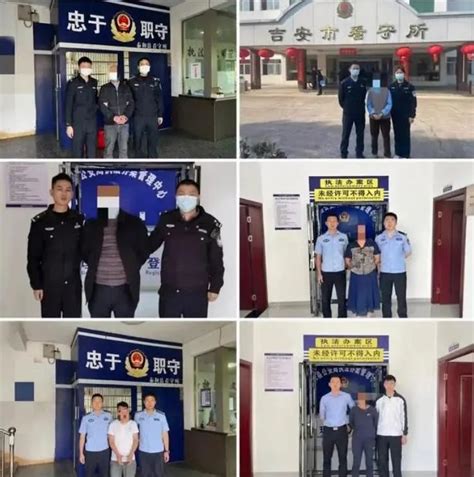 我国初步形成“12n”电子烟监管制度体系 视点 烟悦网