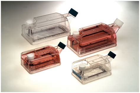 Cole Parmer Essentials Celline Bioreactor Flasksflaskscell Culture