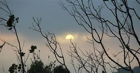 The End Of Fall Imgur