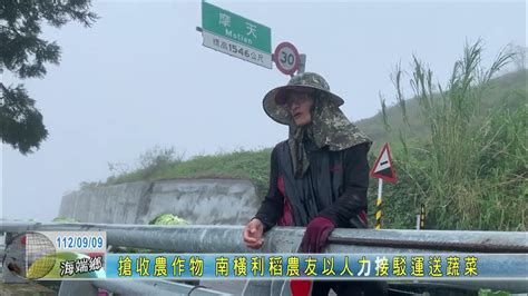 20230909 搶收農作物 南橫利稻農友以人力接駁運送蔬菜 Youtube