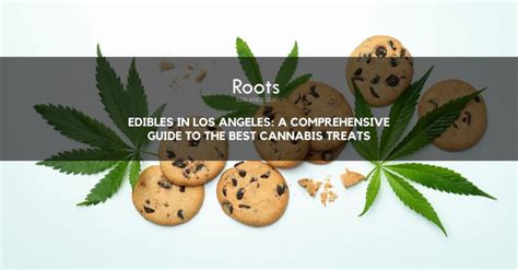 Your Complete Guide To Edibles In Los Angeles