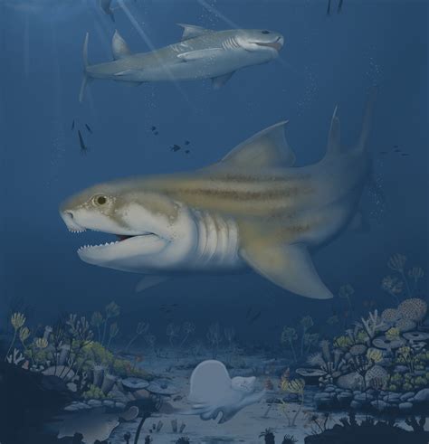 Species New To Science [paleoichthyology 2024] Troglocladodus