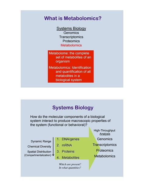 Solution Lec1 Introduction To Metabolomics Pdf Studypool