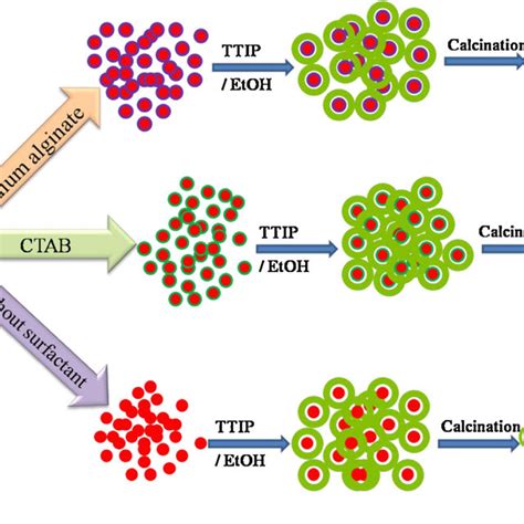Schematic Representation Of Formation Of Agtio2 Core Shell
