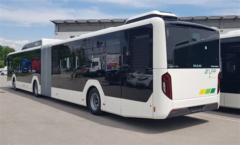 Deset Novih Avtobusov Za Lpp Transport In Logistika