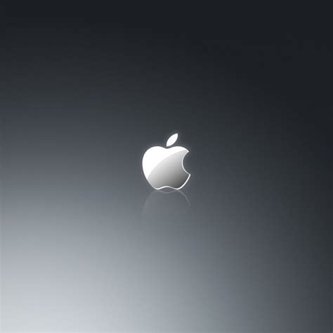 7 Ipad Wallpapers Cute Wallpapers