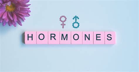 Understanding Hormones Functions Imbalances And Their Role In Womens Health Adoreself