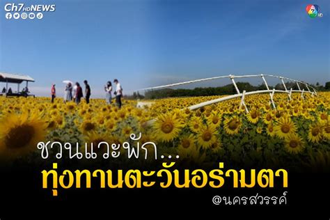 ข่าวนักท่องเที่ยว จอดพักรถ แวะเที่ยว”เป๋าตุงฟาร์ม” เช็กอินถ่ายรูปสวยๆ