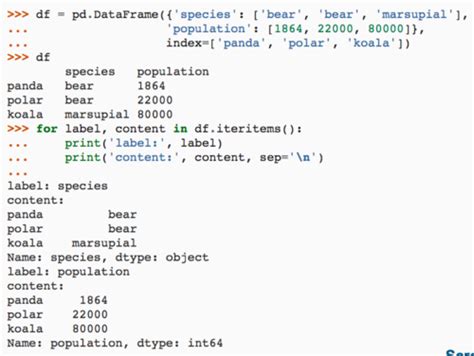 Pandas Flashcards Quizlet