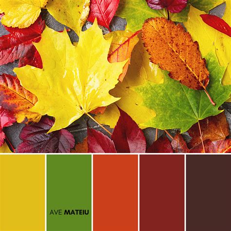 Autumn Color Palette Html My Gamine Autumn Extended Palette In Hex