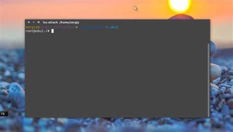 Lxc Linux Losst
