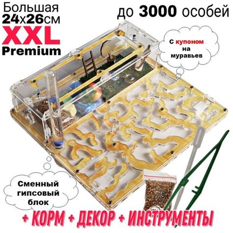 Большая муравьиная ферма XXL 24*26см Полный комплект Древесная - купить ...