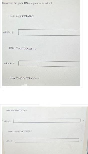 Answered Transcribe The Given DNA Sequences To Bartleby
